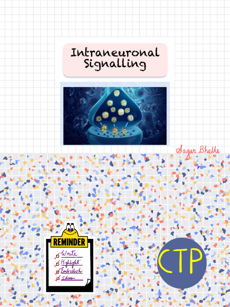 Intraneuronal Signalling | PDF | Cell Signaling | Neurophysiology