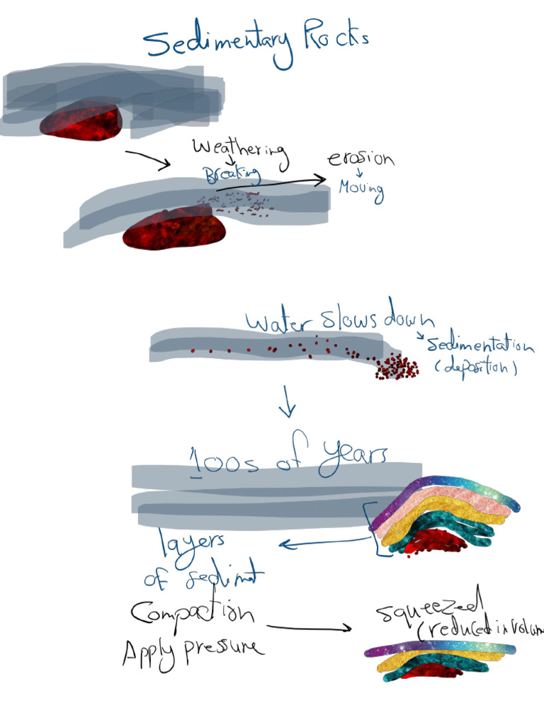 Sedimentary rocks explanation | PDF