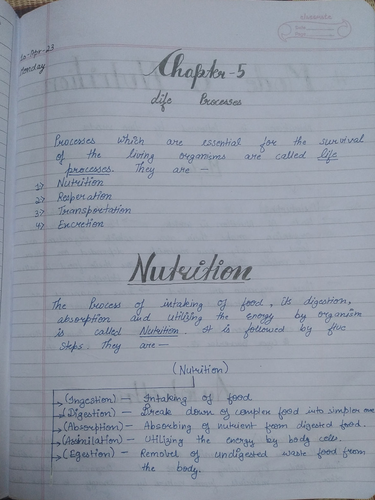 Handwritten Notes of Chapter Life Process | PDF
