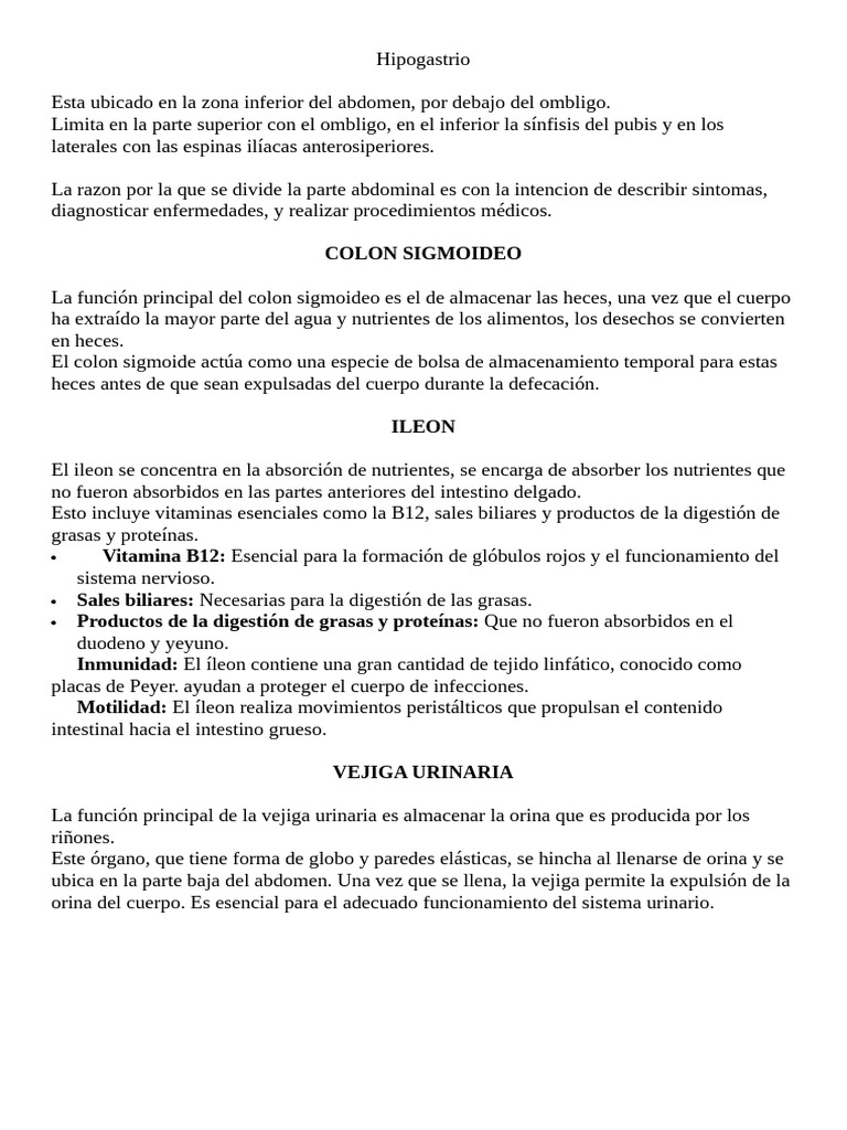 Hipogastrio | PDF | Tracto gastrointestinal | El embarazo
