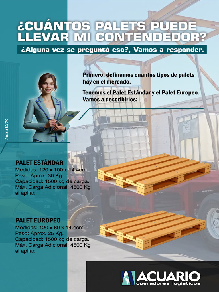 Cantidades de Palets en Contenedor - Pictograma | PDF