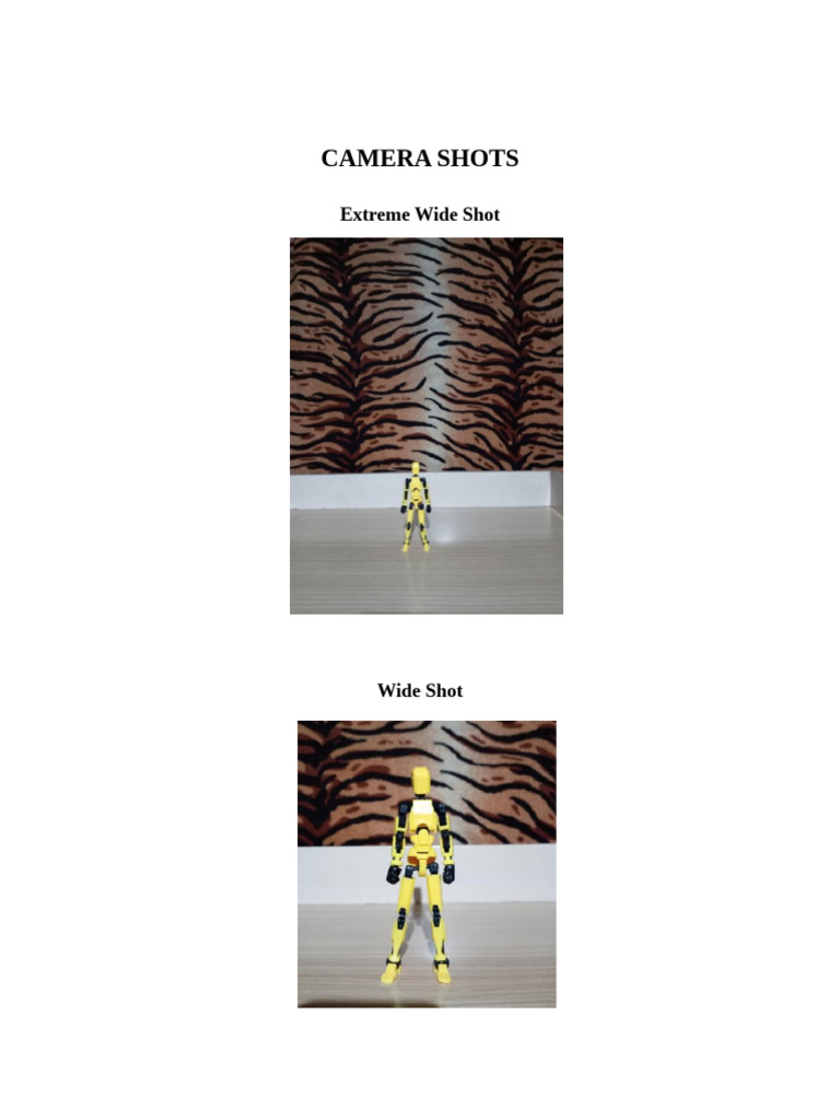 Camera Shots 2 | PDF