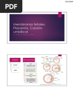 Desarrollo Del Saco Coriónico | PDF | Ciencia y matemáticas