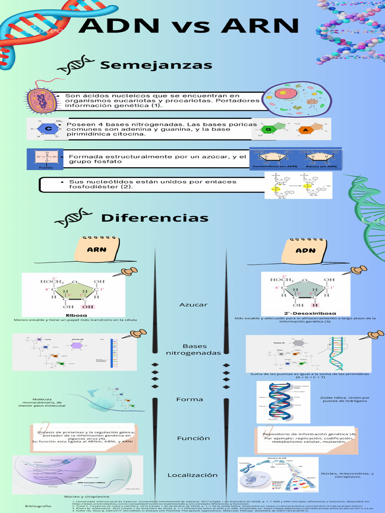 adn vs arn | PDF