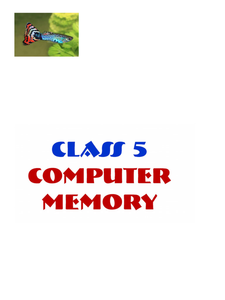 Development of Computer, Memory | PDF