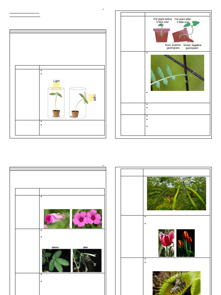 Chapter 5 Response in Plants | PDF | Auxin | Plant Hormone