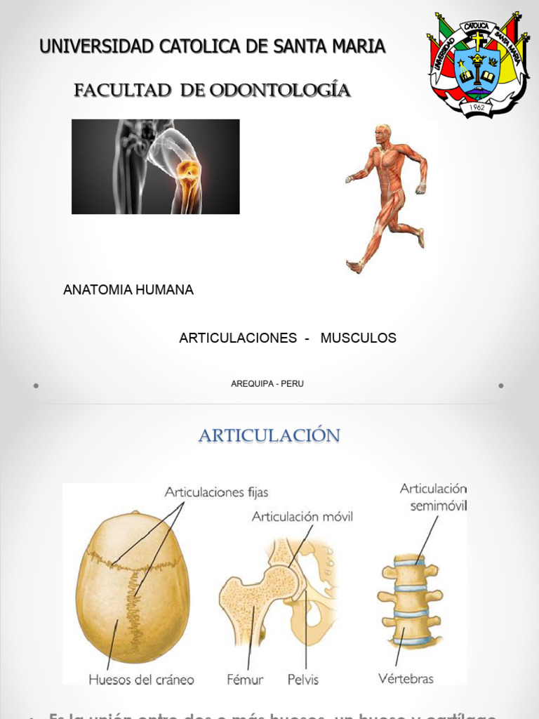 Httpsaulavirtual - Ucsm.edu - Peepregrado2025isjepluginfile - Php66894mod ...