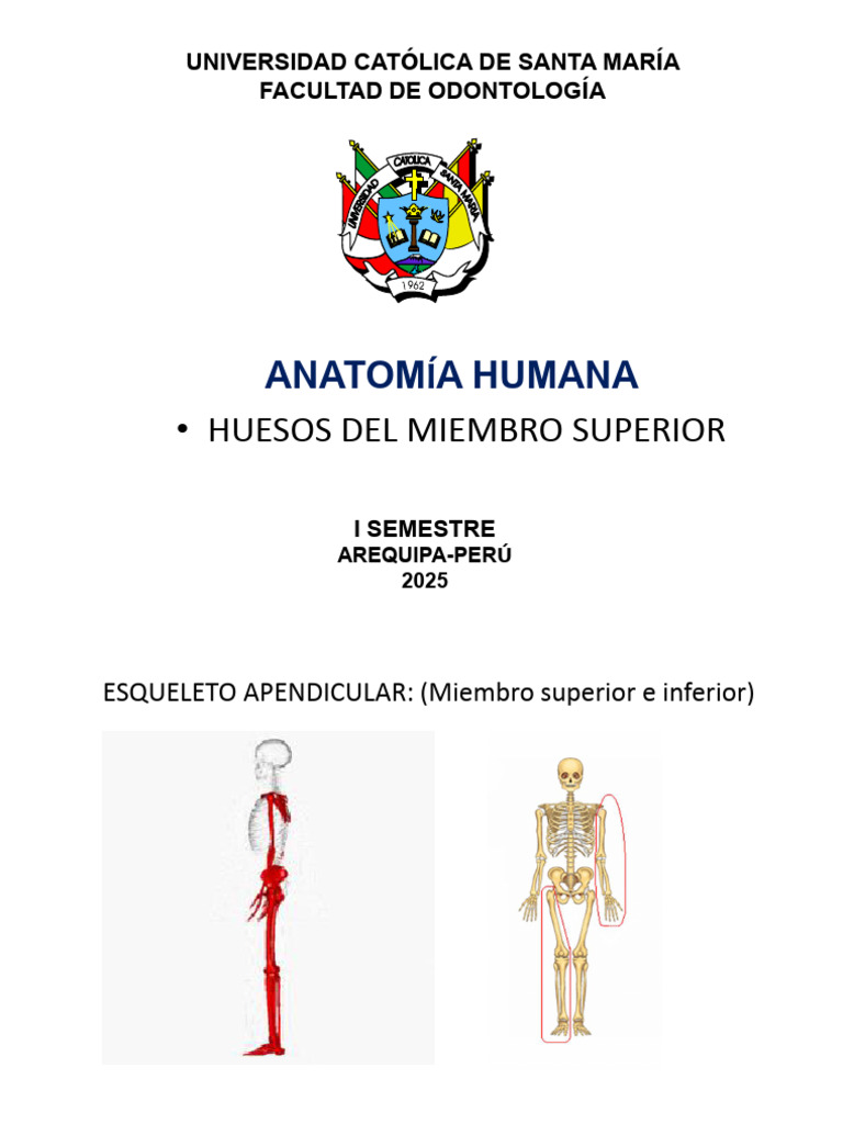 Httpsaulavirtual - Ucsm.edu - Peepregrado2025isjepluginfile - Php62352mod ...