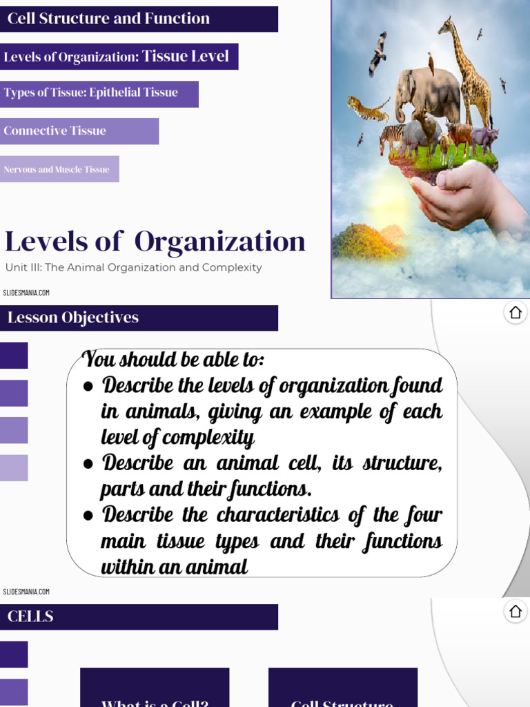 5.-Lesson-4_-Levels-of-Organization-Cells-and-Tissues | PDF ...