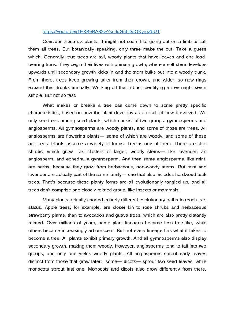 True Trees: Defining Characteristics | PDF | Trees | Plant Stem