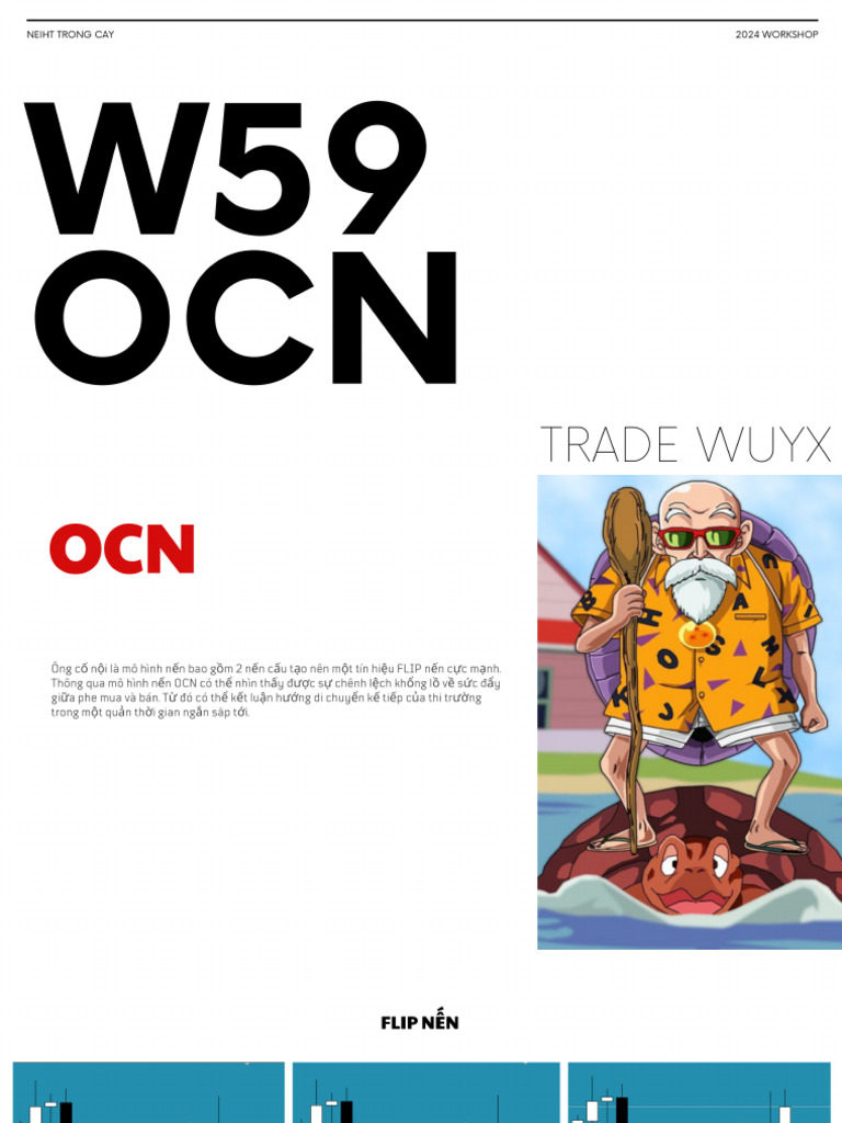 W59 Ocn | PDF