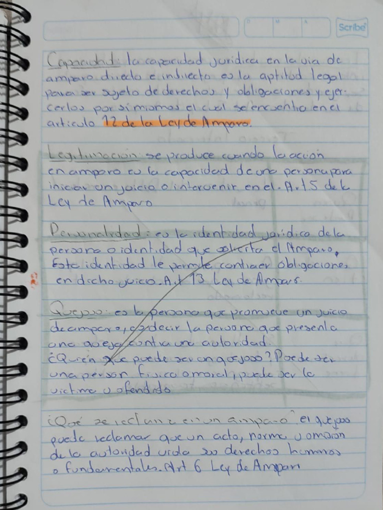 Amparo Ii - Karen Yoeli | PDF