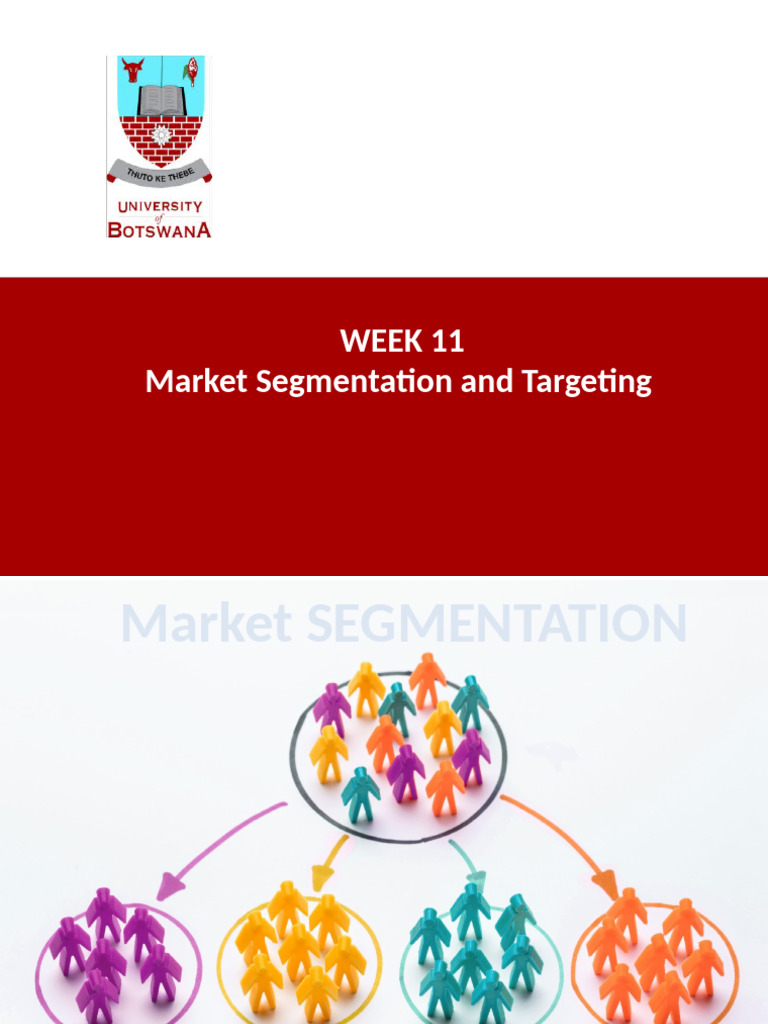 Market Segmentation and Targeting Guide | PDF | Market Segmentation ...