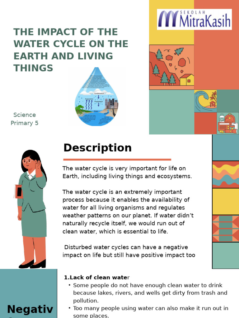 The Impact of The Water Cycle On The Earth and Living Things-Primary 5 ...