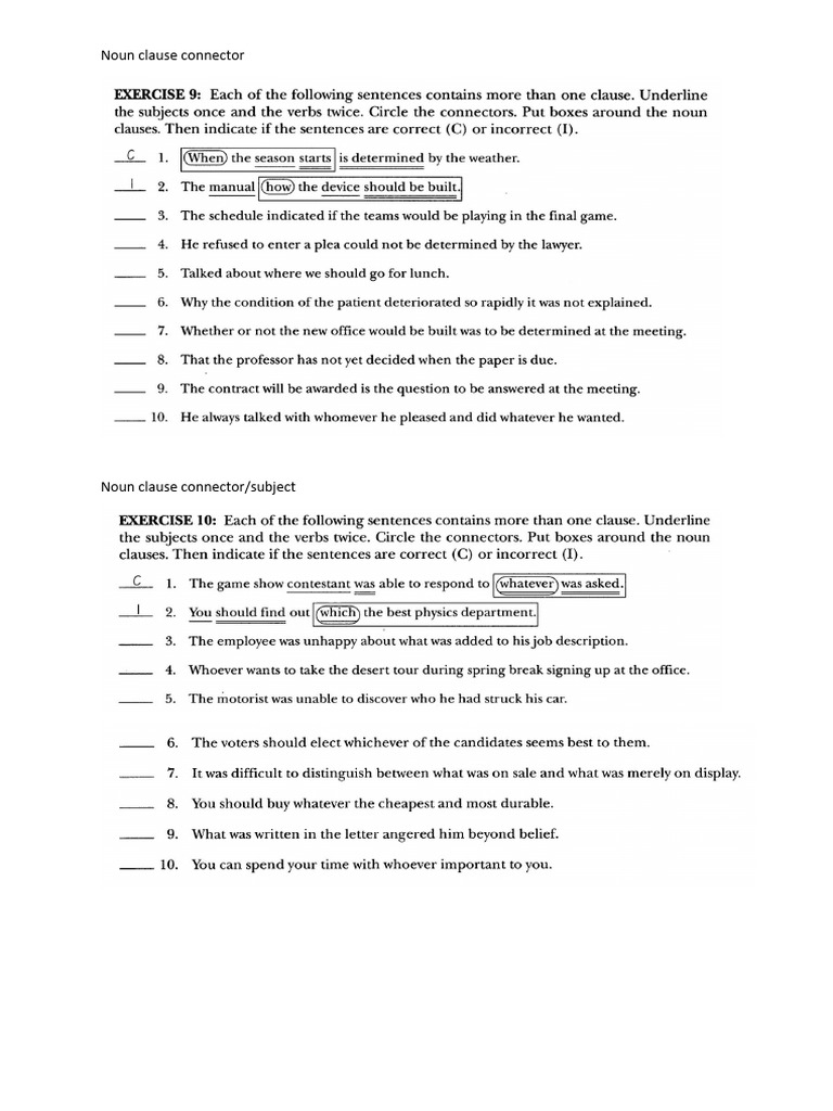 Practice - SWE (Noun and Adjective Clauses) | PDF
