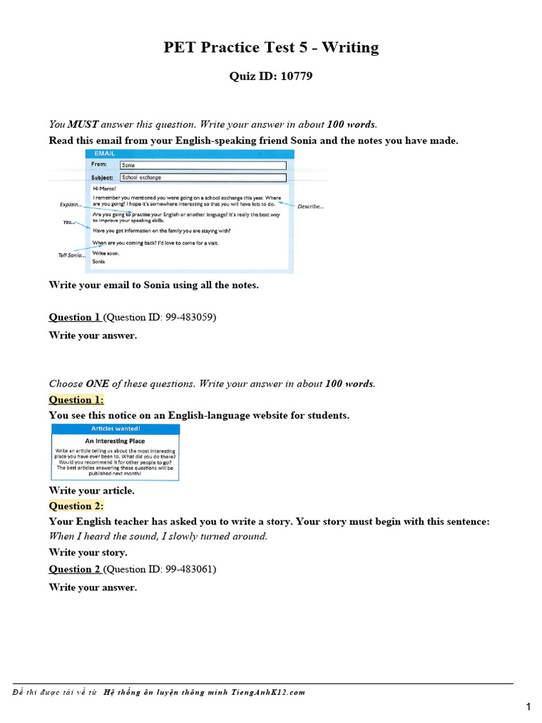 Quiz - 10779 - Pet Practice Test 5 - Writing | PDF