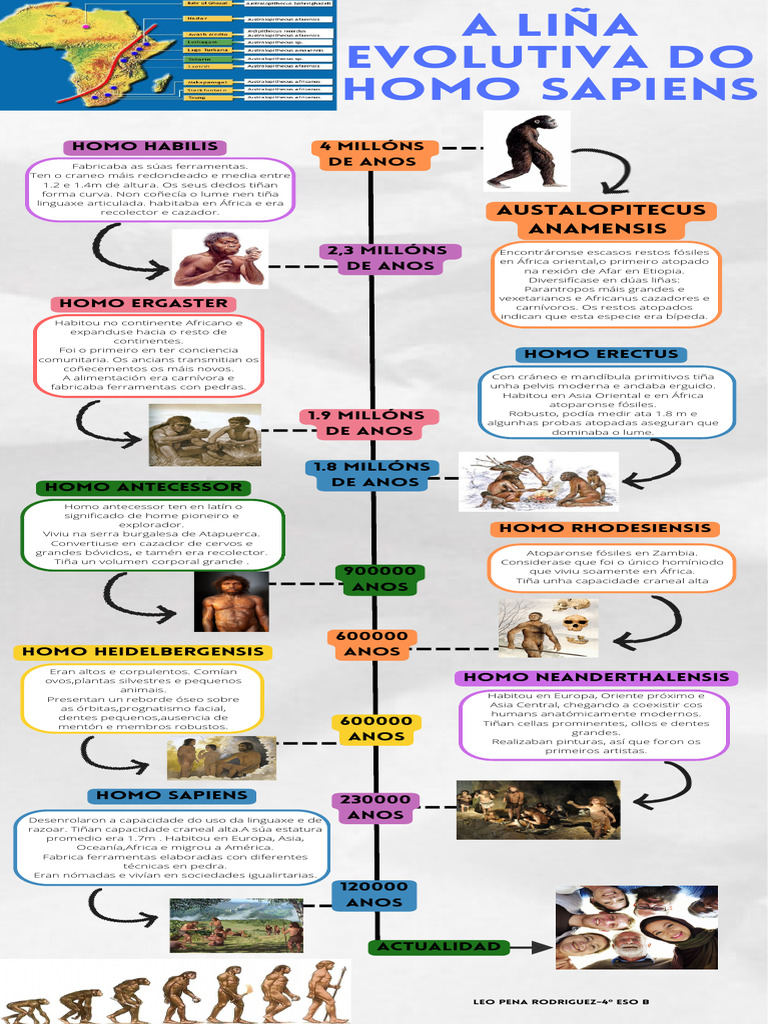Infografia Linea Del Tiempo HOMOSAPIENS | PDF