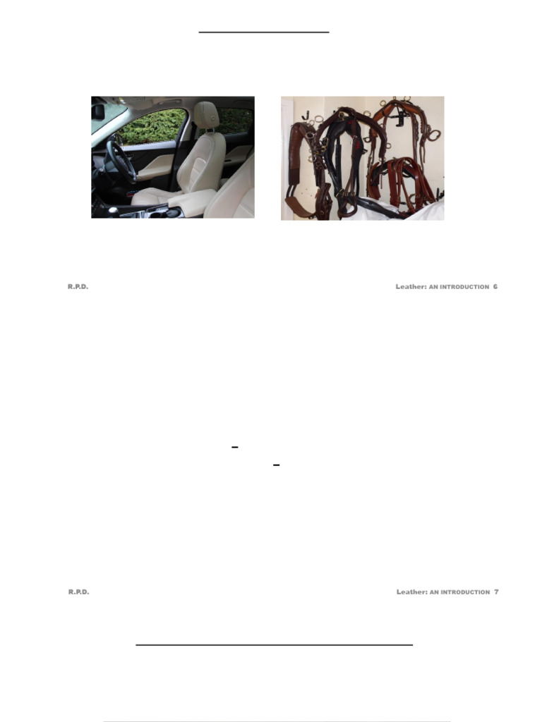 Basic raw material description leather | PDF