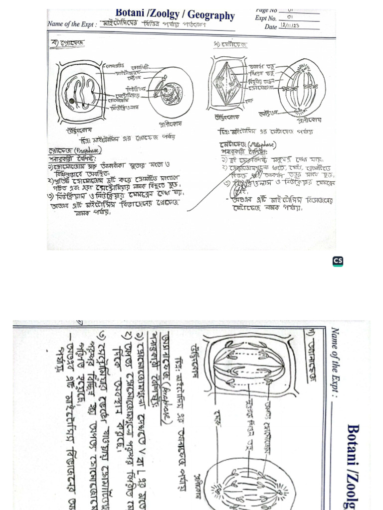 Biology 1st Paper Practical | PDF