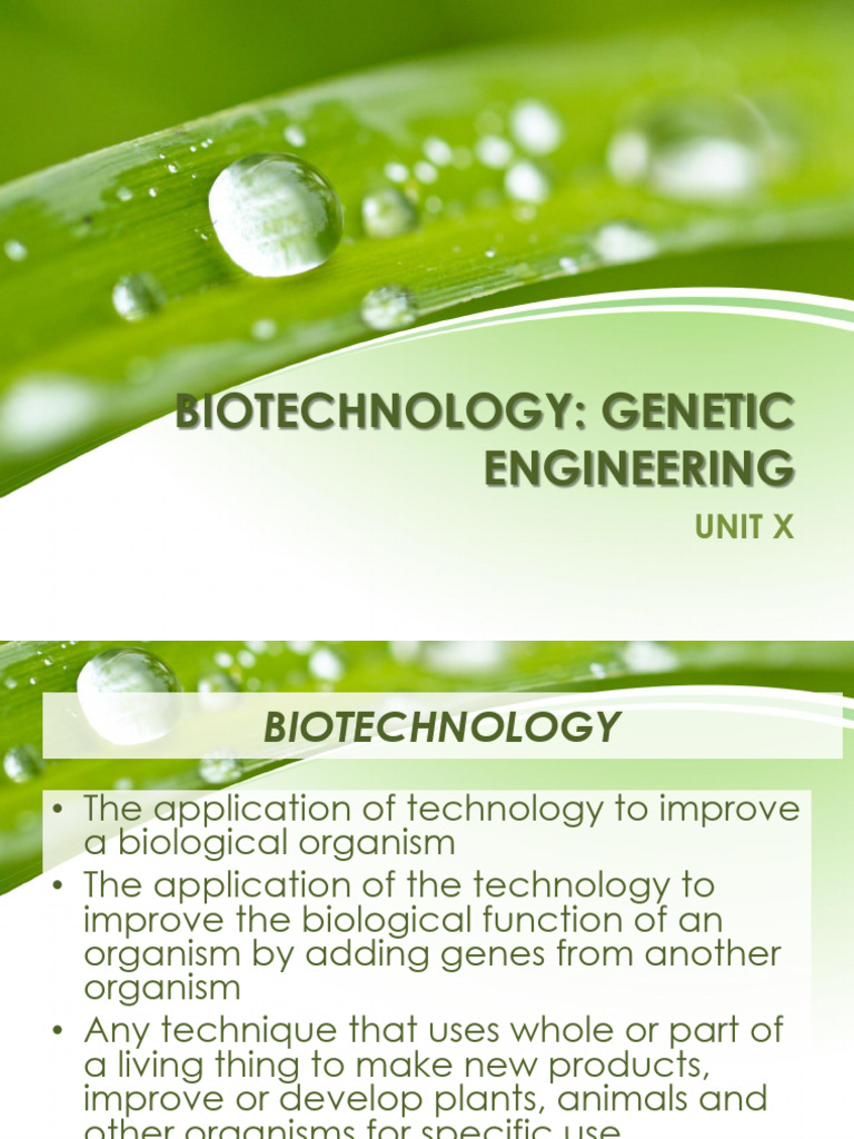 Genetic Engineering in Biotechnology | PDF | Genetically Modified Crops ...