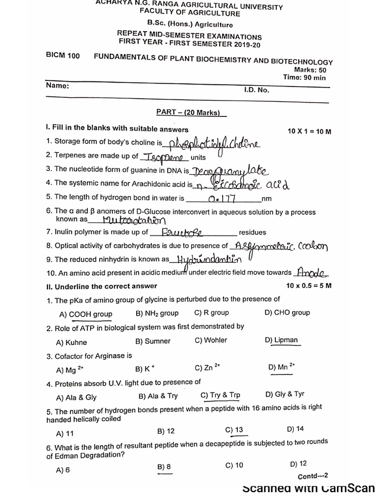 BICM 100, Biochemistry Repeat Mid 19-20 | PDF