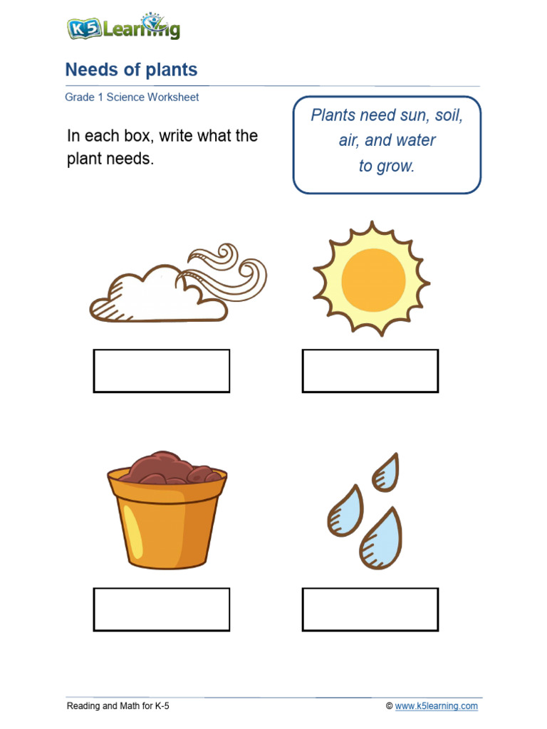 K-5 Plant Needs Worksheet | PDF