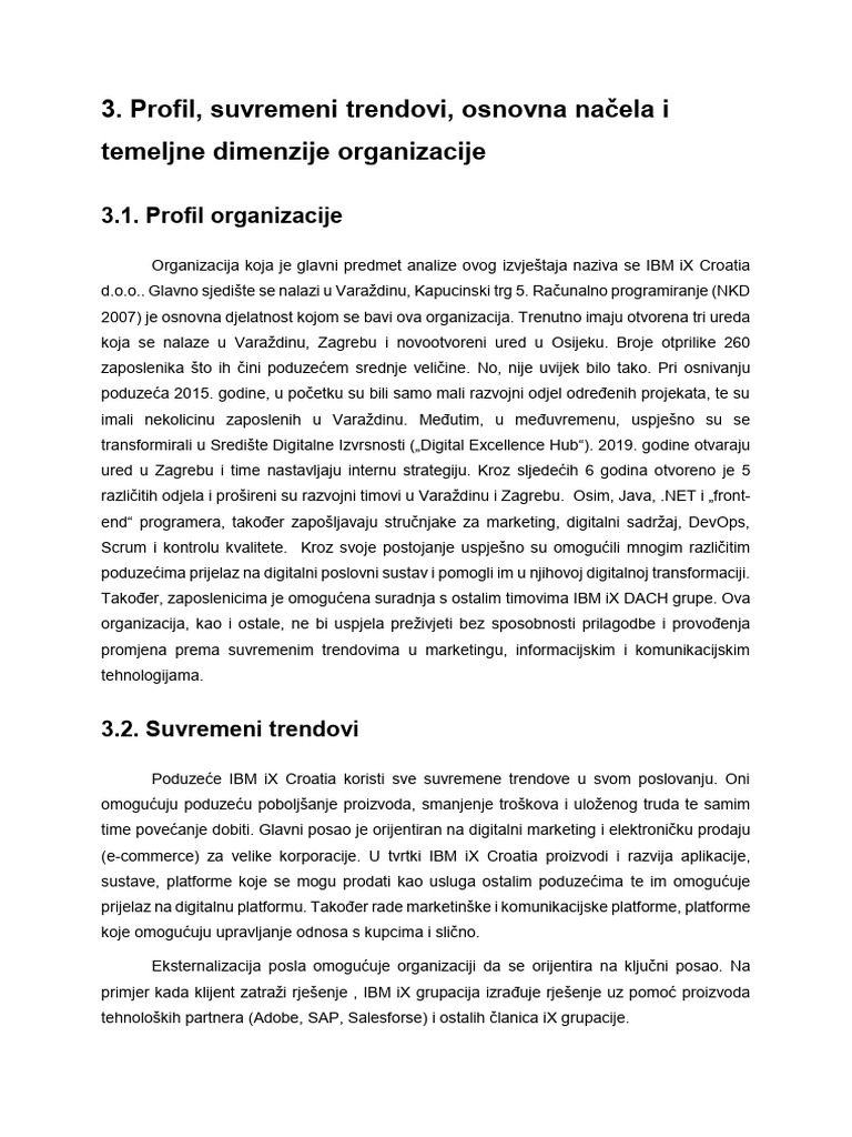 Primjer analize organizacije | PDF