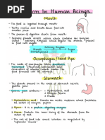 Class 10 Life Process Mind Map and Notes | PDF | Social Science ...