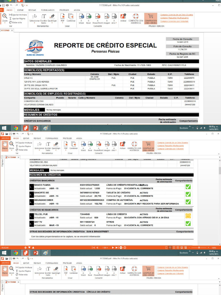 Reporte Buro | PDF