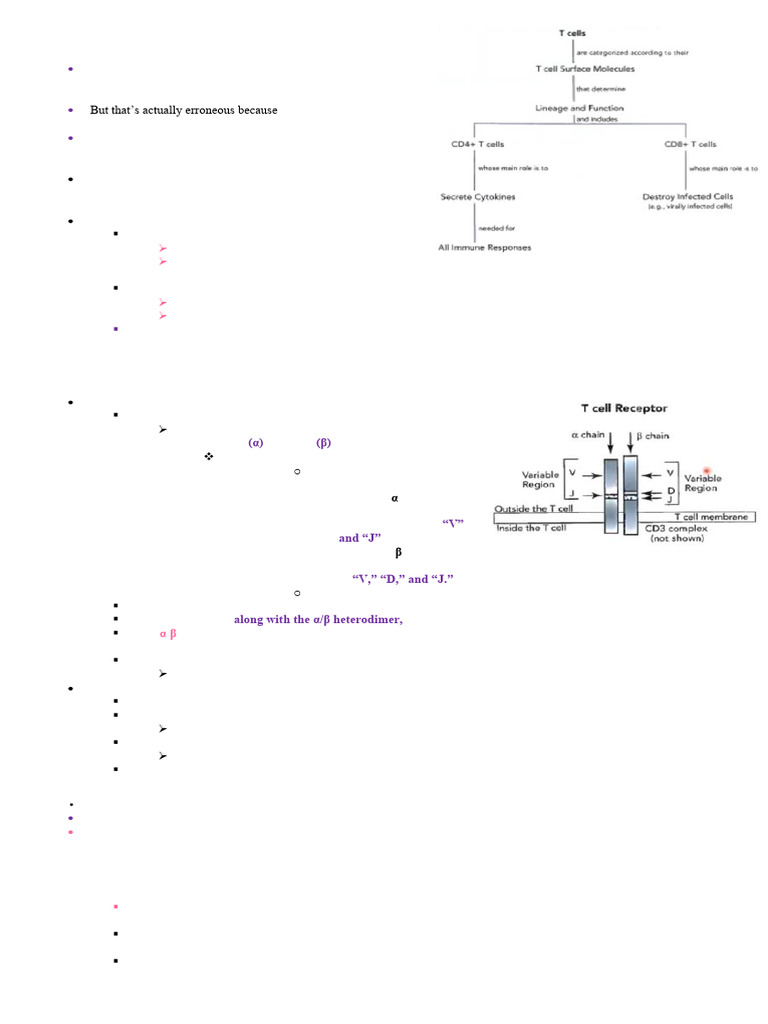 Add Ons - T Cell, Lab Techniques, Disease States and Tumor Immunology ...