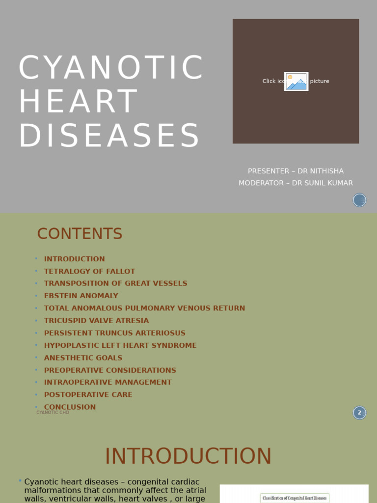 Cyanotic Heart Diseases | PDF | Congenital Heart Defect | Heart