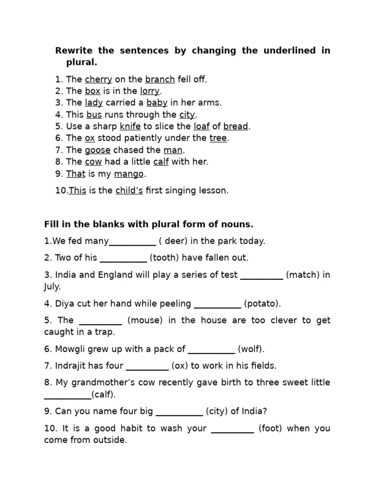 Plural Nouns Worksheet for Grade 6 | PDF