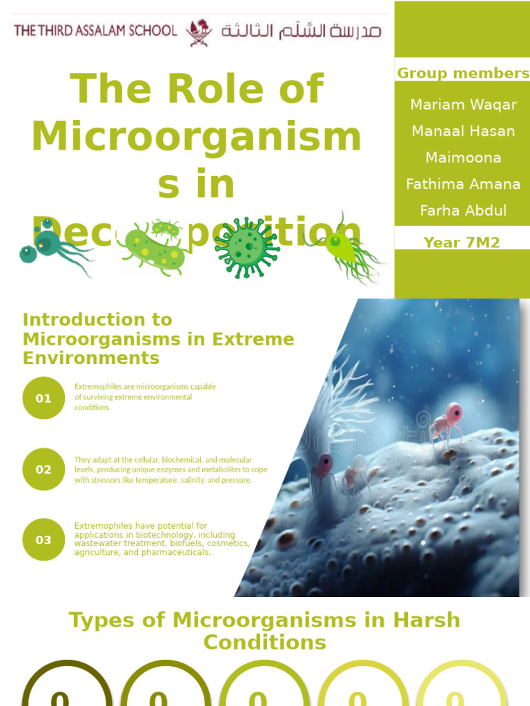 Term 2 Science Project | PDF | Microorganism | Decomposition