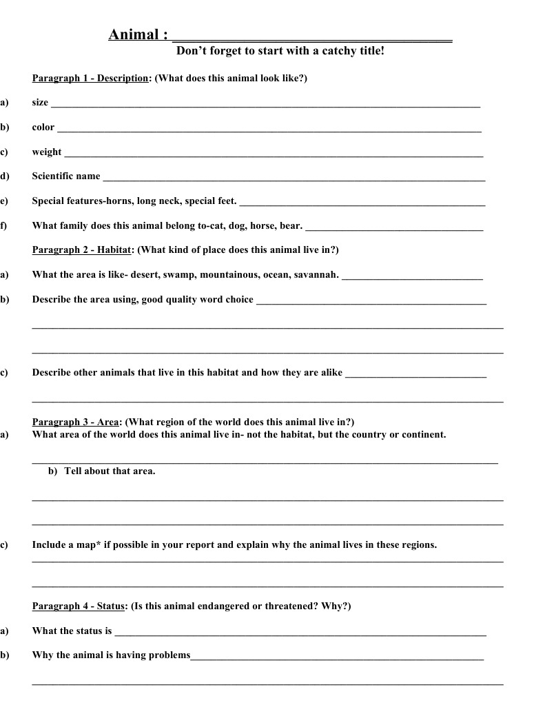 Animal Report Outline | PDF