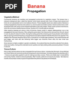 Land Snail Identification Guide | PDF | Molluscs
