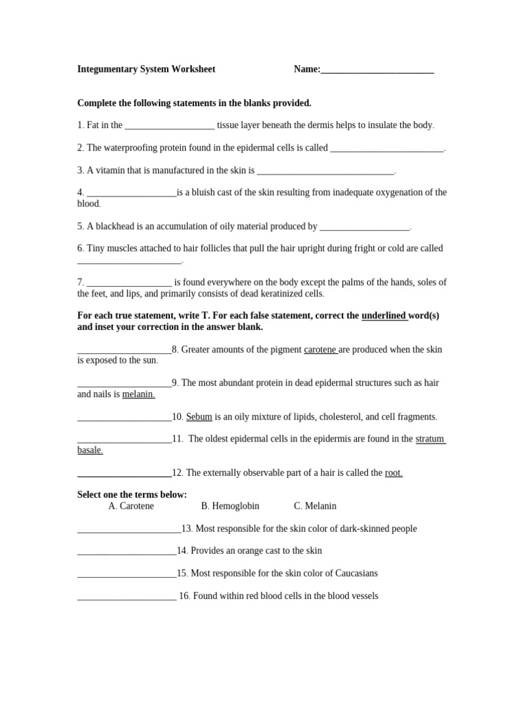 Integumentary System Worksheet Guide | PDF