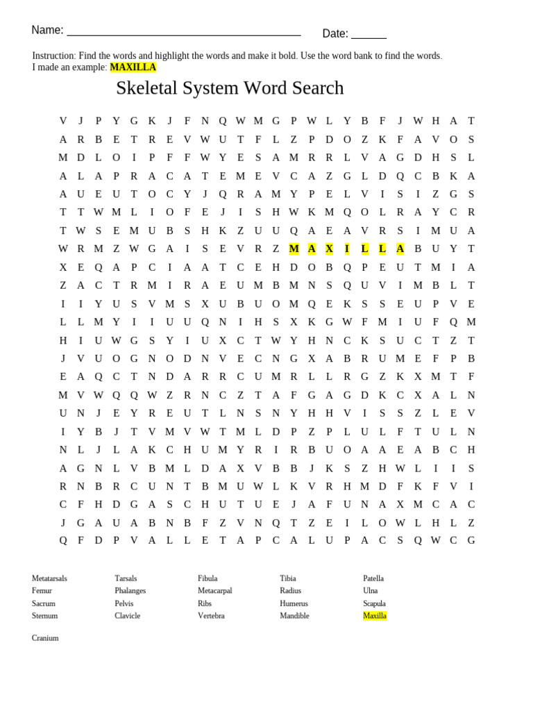 Skeletal System WordSearch | PDF