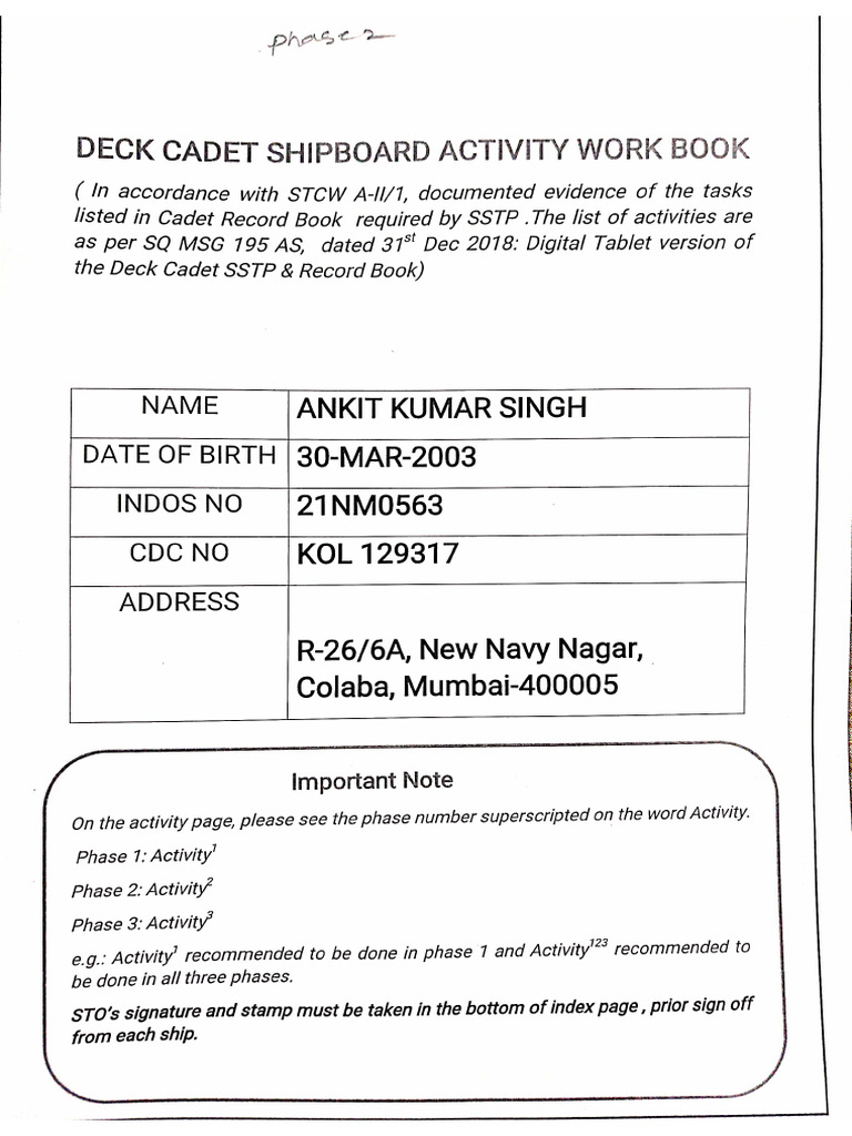 Phase 2 Activity | PDF