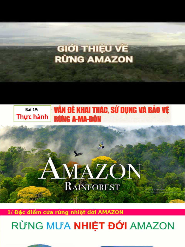 CD Bai 19 Thuc Hanh Tim Hieu Van de Khai Thac Su Dung Va Bao Ve Thien ...