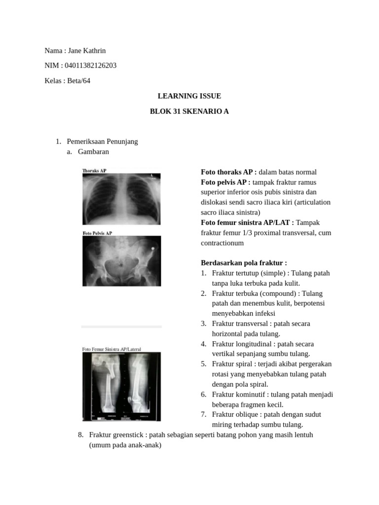 LI SKEN A BLOK 31 JANE K BETA | PDF