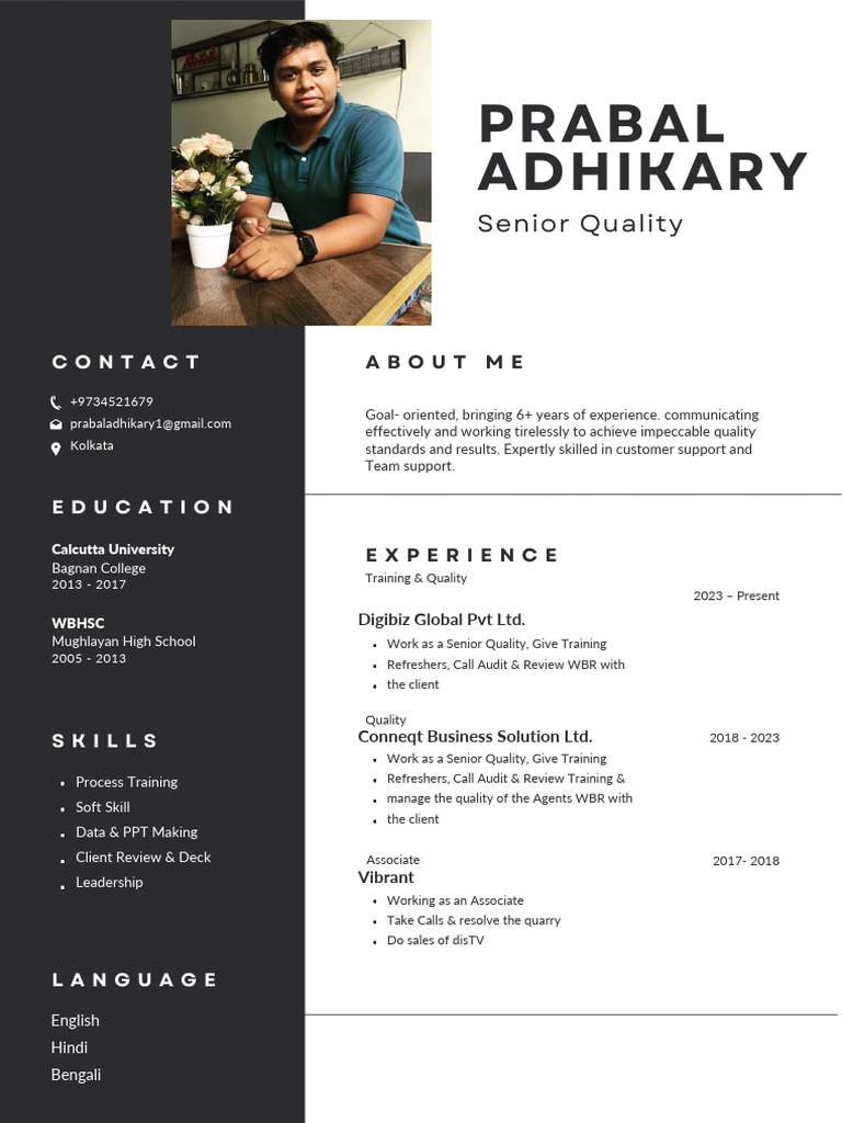 Grey Modern Professional CV Resume PDF | PDF