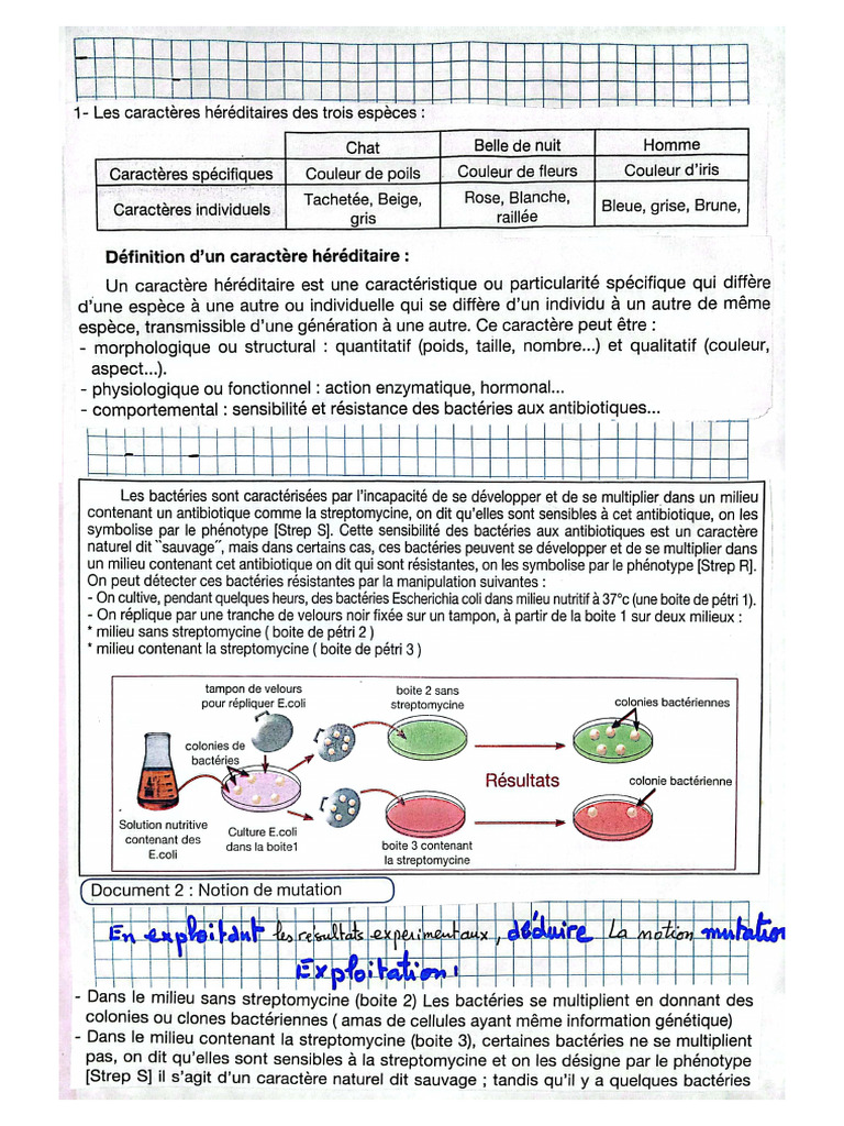 COURS SVT | PDF