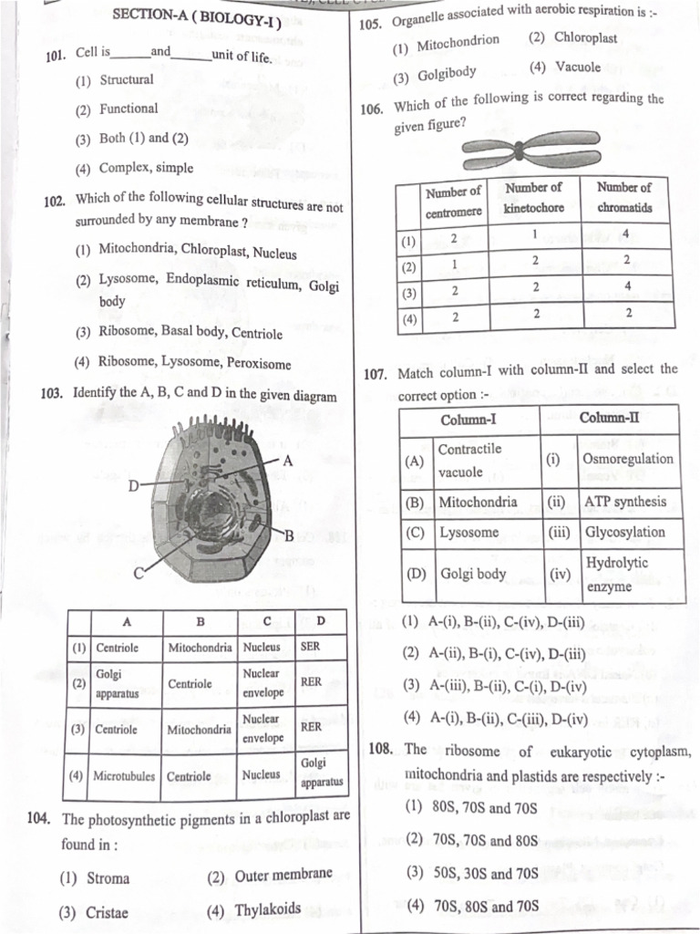 d9b7afe0-3dbc-47ee-a6eb-4491ac7092bd_736cef00-3934-40d0-98cc ...
