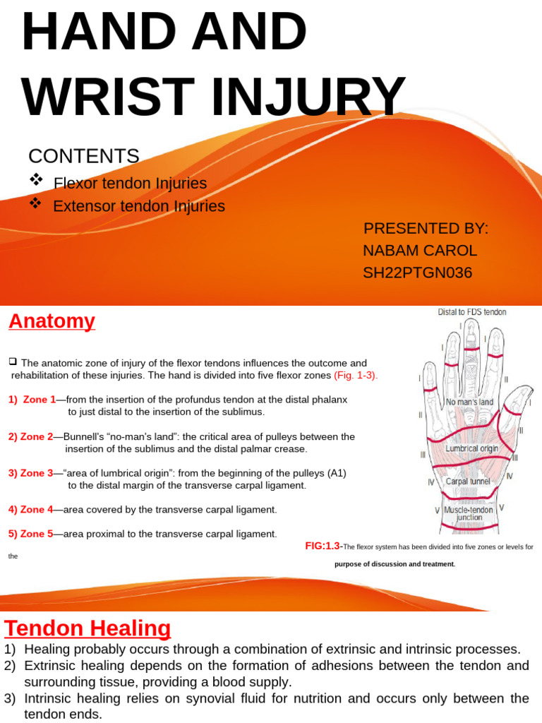 Hand and Wrist Injury | PDF | Hand | Limbs (Anatomy)