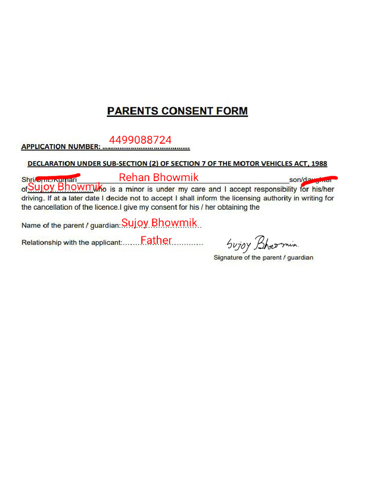 LL Consent Form | PDF