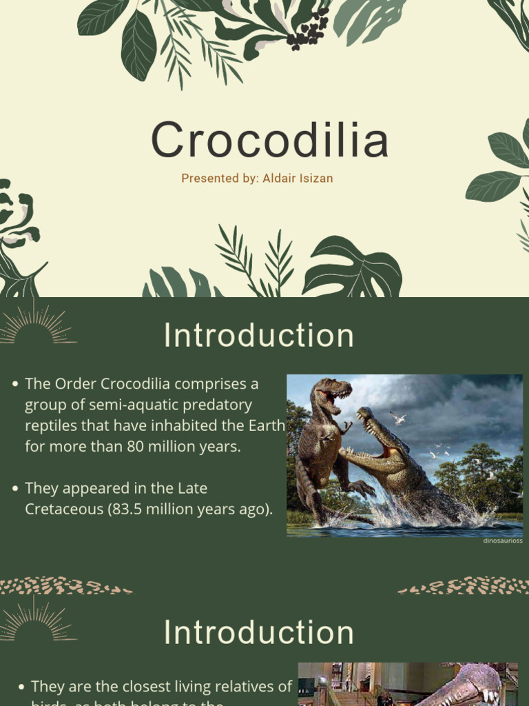 Crocodilia | PDF | Zoology
