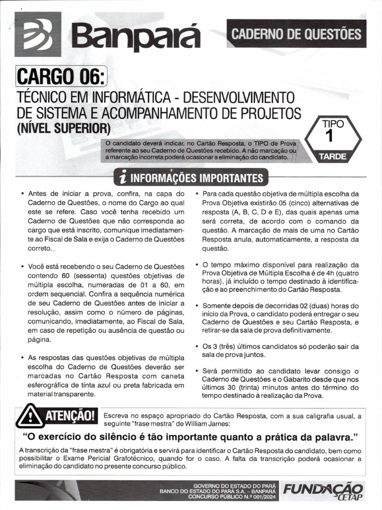 Tecnico em Informatica. Dev. Tipo1 | PDF