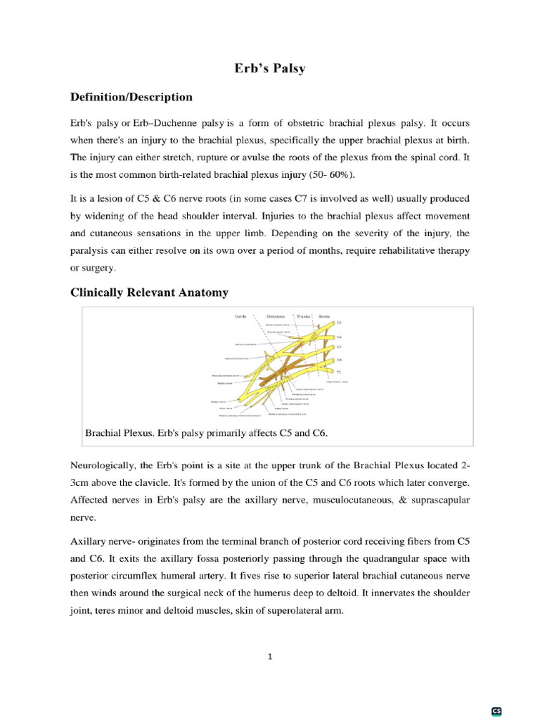 Erb's Palsy | PDF
