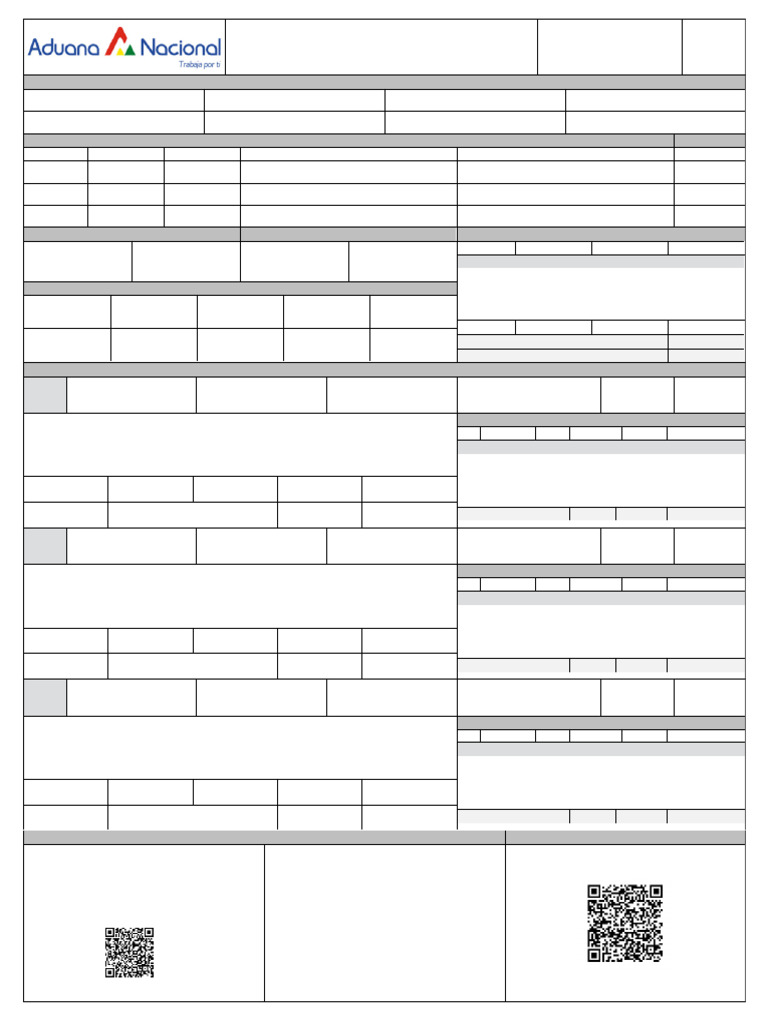Declaración Simplificada de Importación DIMS | PDF | Factura | El ...