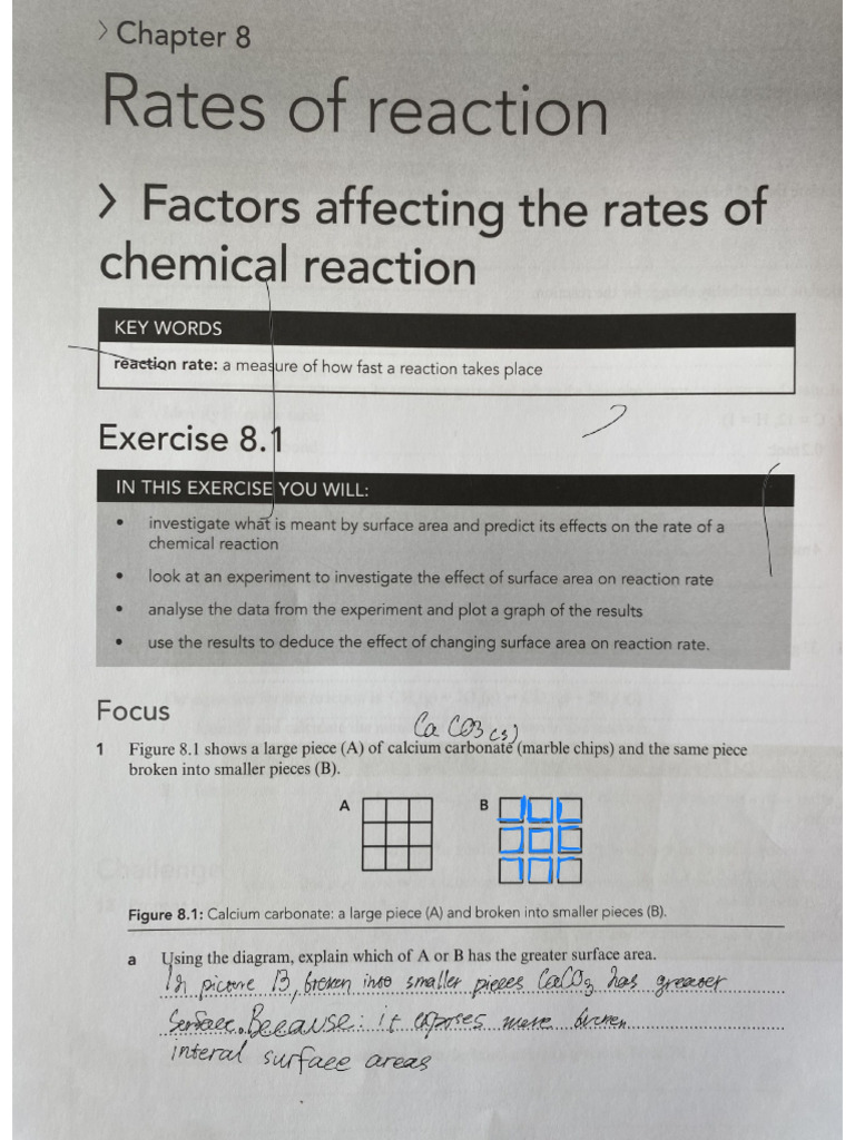Workbook Pages | PDF